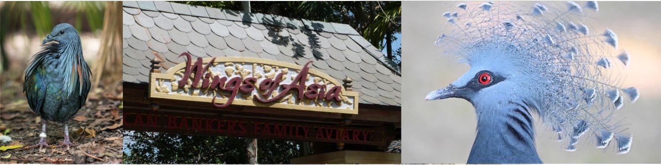 Miami Zoo - Paradise for Children and Adults